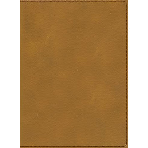 RVR 1960 Biblia ilustrada de la Tierra Santa, café símil piel con índice / RVR 1960 Holy land Study Bible, brown LeatherTouch Indexed (Spanish Edition)