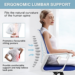 AFO Home Office Desk Chair with Ergonomic Lumbar Supportive Armrest, Mid Back, Tilting Function, Breathable Mesh and High Resilience Sponge Swivel Rolling, Adjustable Height, Navy Blue