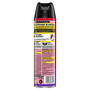 Raid Ant & Roach Killer Spray For Listed Bugs, Keeps Killing for Weeks, Lavender Scent 12 Ounce (Pack of 1)
