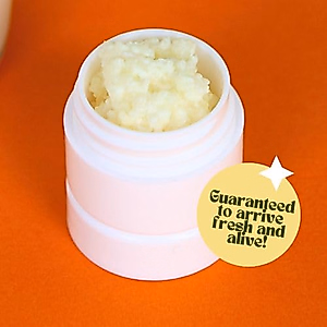 Milk Kefir Grains, Turkish Strain, Bulgaros, Pajaritos, Live Probiotic Starter.