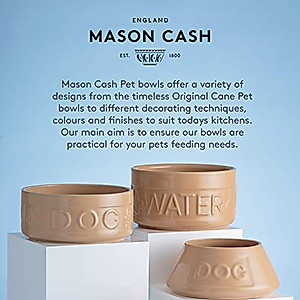 Mason Cash Cat Bowls Bright Coloured Cat Saucer Heavyweight, 13 cm Diameter, Pink