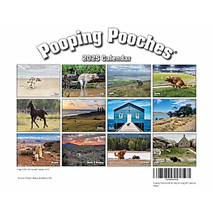 Pooping Pooches White Elephant Gag Gift Calendar