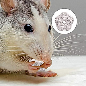 balacoo 12Pcs Small Animal Chew Toys Lava Bites Toy Pet Teeth Toy Molar Toy Biting Toy Pet Supplies for Guinea Hamster Rabbit Rat