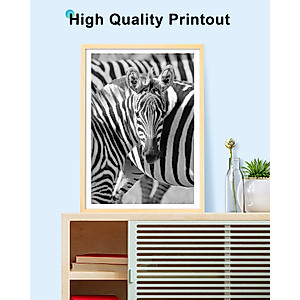 61XL Black Ink Cartridges Combo Pack High Yield Replacement for HP Ink 61 XL for Envy 4500 4501 5530 4502 5534 5535 for OfficeJet 4630 4635 for DeskJet 1000 1010 1055 1510 3050 3510 Printer (2 Black)