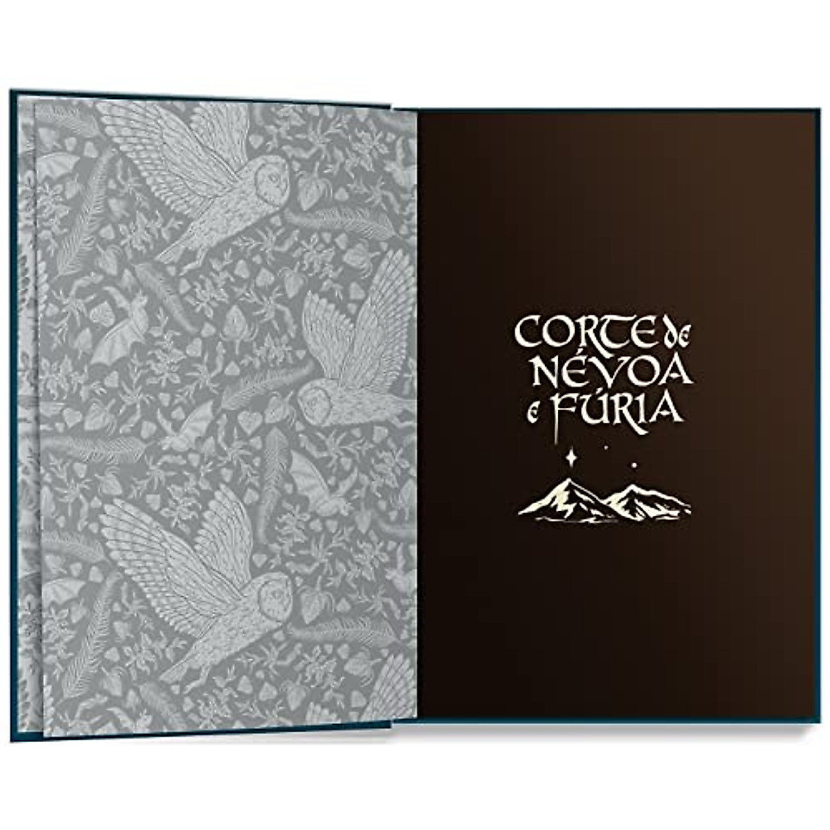 Corte de nevoa e furia - Vol. 2 Corte de espinhos e rosas – Edicao especial (Em Portugues do Brasil)