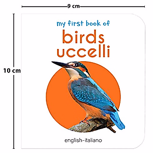 My First English-Italiano Learning Library (la mia prima biblioteca delle parole Inglese-Italiano): Boxset of 10 English - Italian Board Books (English and Italian Edition)