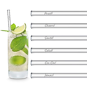 HALM Glass Straws - International Toast Edition - 6 Reusable Drinking Straws with "Cheers" in 6 different languages 20cm (8 in) - Prost, Salud - Made in Germany - Dishwasher Safe - Eco-Friendly