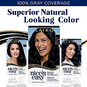 Clairol Nice'n Easy Permanent Hair Dye, 2V Plum Black Hair Color, Pack of 1