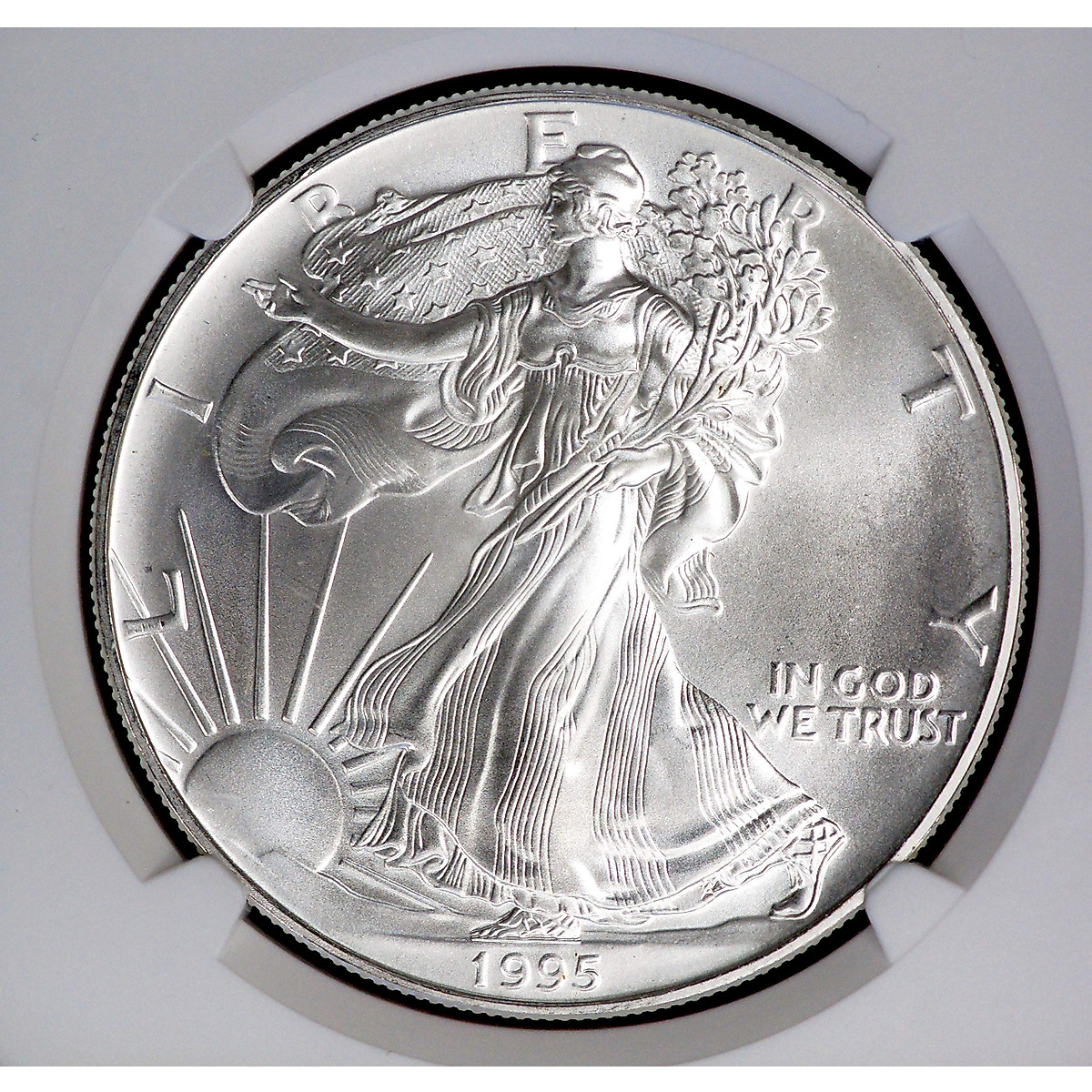 1995 American Silver Eagle 1 Troy Ounce .999 Fine Silver Dollar $1 MS-69 NGC