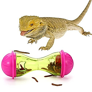 Kathfly 3 Pcs Bearded Dragon Toys Reptile Enrichment Toy Bearded Dragon Tank Accessories Reptile Food Toys Ball Interactive Toys for Lizard Reptile Tank Decor Gecko Small Animals Habitat Terrarium