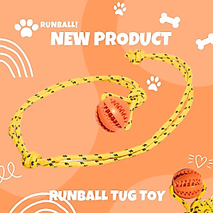 Runball Dog Rope Toy with Ball for Tug of War, Training, Fetch, Interactive Pull Toy, Teeth Cleaning Ball for Medium and Large Dogs, 10 Foot Rope and 2.75 Inch Ball