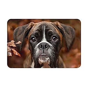Yuwznsx Boxer Dogs Autumn Door Mat Rugs Indoor Outdoor Non Slip Entrance Front Door Doormat for Bathroom/Kithchen/Bedroom/Living Room