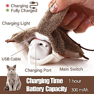 Vealind Hanging Cat Toys Interactive Flying Squirrel Mouse with Catnip, Automatic Toy Electric Toy with Flapping Wings for Indoor Kittens USB Rechargeable