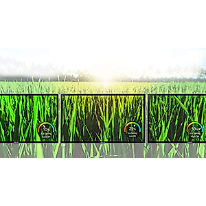 SAMSUNG S22F350FH 21.5-Inch FHD Monitor