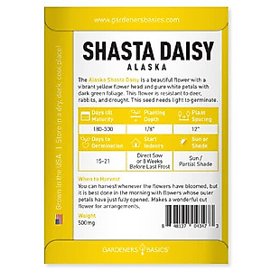 White Shasta Daisy Flower Seeds for Planting (Alaska, Chrysanthemum Maximum) Perennial Heirloom, Non-GMO Flowers Seed Variety- 500mg Seeds Great for Summer Cut Flower Gardens by Gardeners Basics