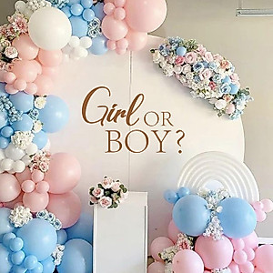 CIEQR Girl or Boy Gender Reveal Sign Decal - Baby Shower Party Decal Sign, Baby Shower Decorations for Party, Balloon Arch, Backdrop, Room...…