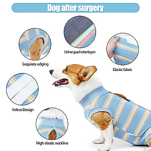 Dog Recovery Suit, E-Collar Tapered Alternative, Universal Recovery Suit for Male and Female Dogs, Breathable Dog Surgical Gowns for Weaning, Post-Op and Skin Problems