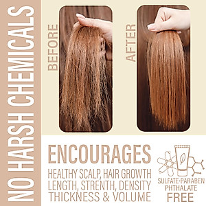 Luxiny Natural Shampoo Bars for Hair, Made in USA, Up to 60 Washes of Vegan, Sulfate Free Shampoo, Use at Home & a Travel Shampoo – Damaged to Normal Hair, 60g (Unscented)