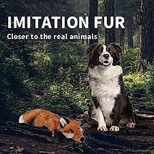 ALL FOR PAWS Squeaky Dog Toys,Animal Plush Dog Toy,Stuffed Dog Toys,Puppy Toys for Teething Small Dogs