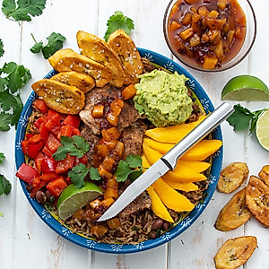 Rada Cutlery Serrated Steak Knife Stainless Steel Blade With Aluminum Made in USA, 7-3/4 Inches, Silver Handle