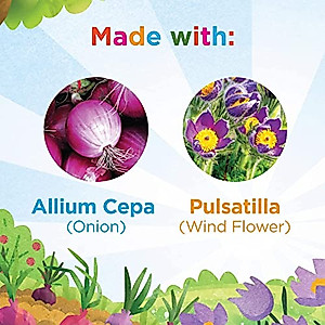 Hyland's Naturals Kids Organic Elderberry Plus Gummies + 4Kids Cold & Cough, Daytime (4 fl. oz.) & Nighttime (4 fl. oz.) Value Pack, Cough Syrup - 48 Vegan Kids Gummies + 8oz. Cold & Cough Syrup