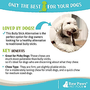 Raw Paws Alternative Soft Bully Sticks for Dogs, 6-inch, 15-ct - Made in USA - Dog Chews Rawhide Free - Soft Dog Chews for Senior Dogs - Rawhide Free Dog Treats - Puppy Chews for Teething
