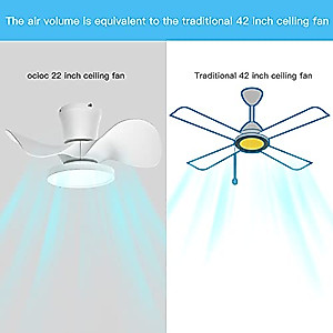 ocioc Quiet Ceiling Fan with LED Light 22 inch Large Air Volume Remote Control for Kitchen Bedroom Dining Room Patio