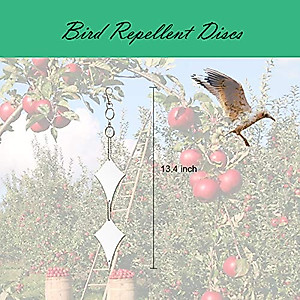 EACILLES Reflective Discs to Keep Birds Away, Hanging Reflectors to Scare Birds Away from Your House and Garden, 16 Diamond Discs