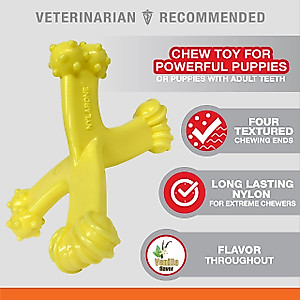 Nylabone Puppy Power Axis Chew Toy - Tough and Durable Puppy Chew Toy for Teething - Puppy Supplies - Vanilla Flavor, Small (1 Count)