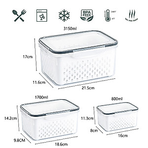 Mochalight 3Pcs Refrigerator Fresh Storage Containers Double-Layer Organizer,2 in 1 Fruit Vegetable Storage Containers Double-Layer Draining Fresh Box for Kitchen Refrigerator