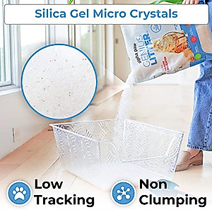 Alpha Paw - Genius Cat Litter, 5-Color Health Indicator, Odor Eliminating, Non-Stick, Lightweight Crystals, Non-Clumping, High Absorption, Unscented, 6 Lbs