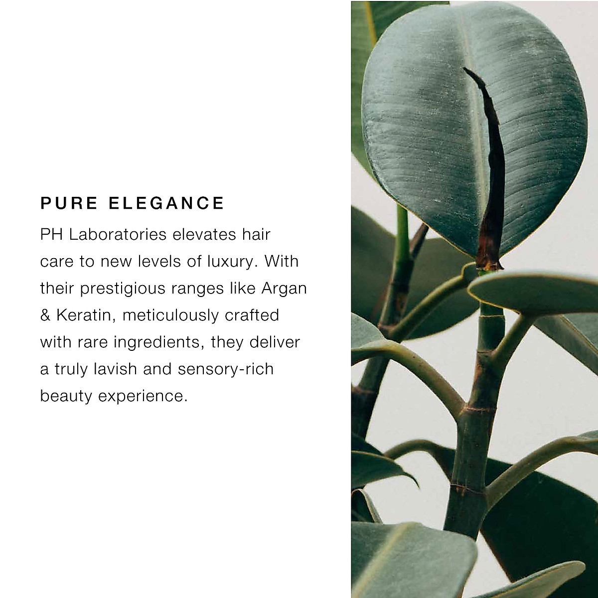 pH PURE HAIR Labs Deep Moisture Set - Deep Moisture Shampoo (8.4oz) and Conditioner (8.4oz) Set with Extra Butter Hair Mask (6.7oz) for Damaged & Dry Hair - 3 Piece Kit