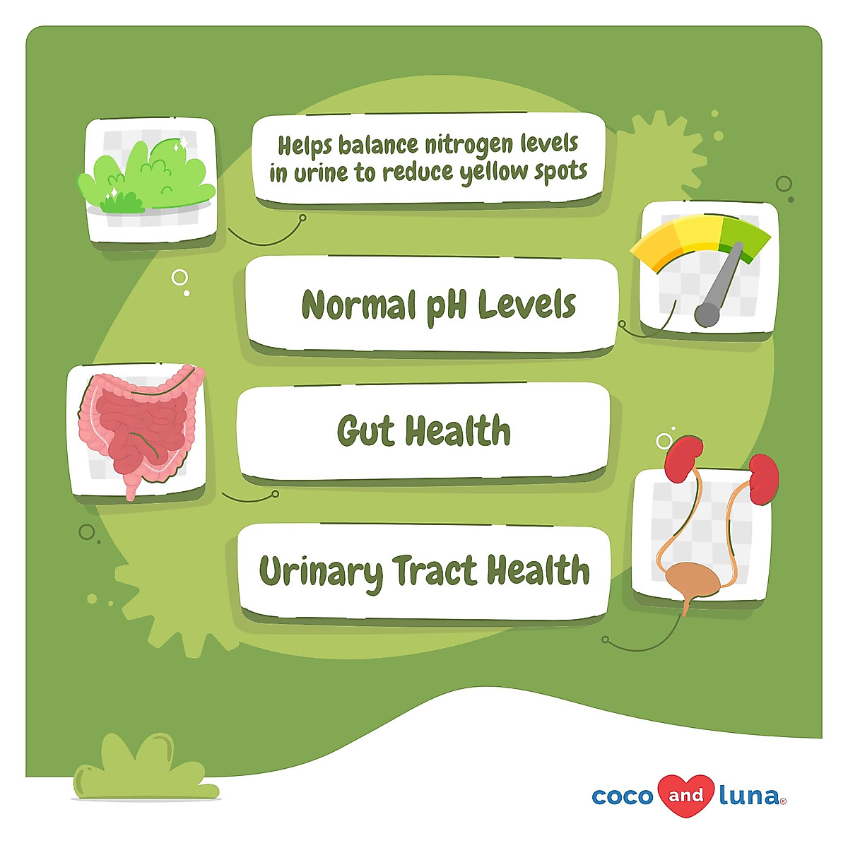 Grass Burn Spot Chew - 90 Soft Chews - Dog Pee Lawn Spot Saver - Urinary Tract Support, Bladder Support for Dogs, Normal Urine - with Probiotics and Canine Enzyme Blend.