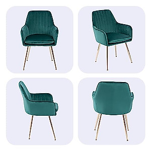 Purgreen Velvet Dining Chair Set of 2 - Modern Mid-Back Accent Chair with Gold Plating Legs - Upholstered Living Room Chair (Velvet Green, Set of 2)