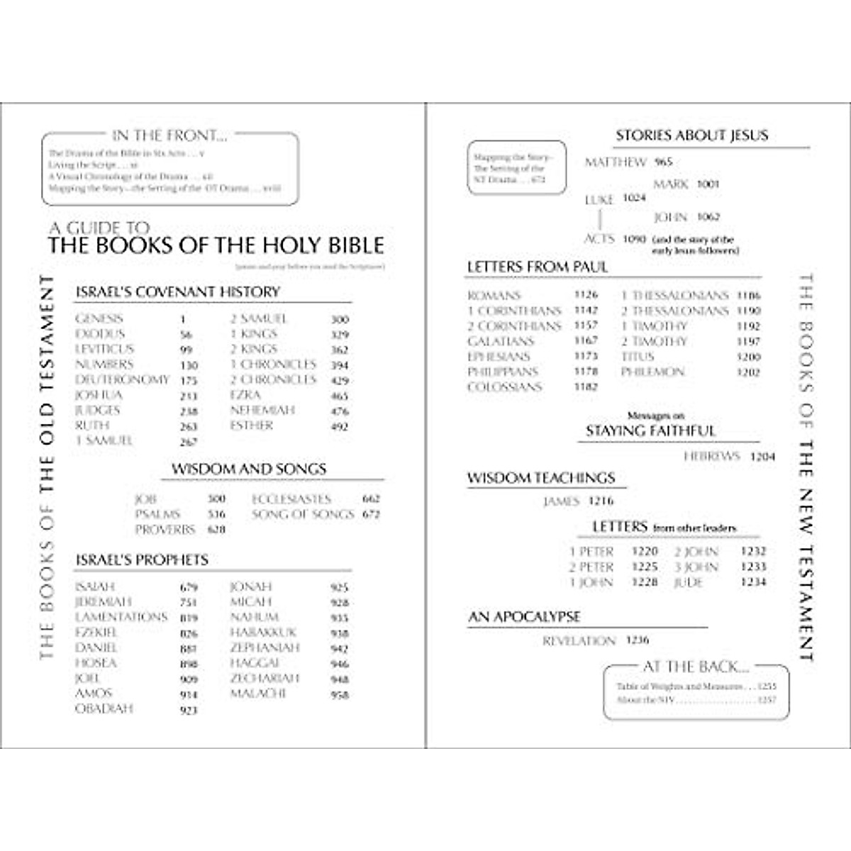 NIV, Holy Bible, Larger Print, Paperback