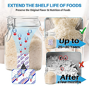 500cc Oxygen Absorbers For Food Storage Individually Wrapped 100 Pack ( 1 Pack Of 1 ) O2 Absorbers Food Grade Oxygen Absorbers for Long Term Food Storage