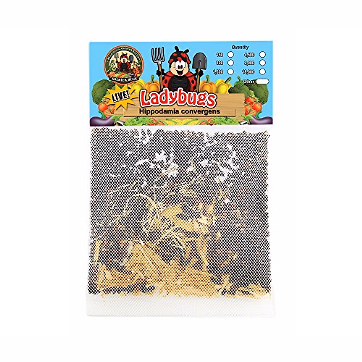 Praying Mantis Egg Case with Hatching Habitat Cup - 2 Praying Mantids Egg Cases & 1,500 Live Ladybugs