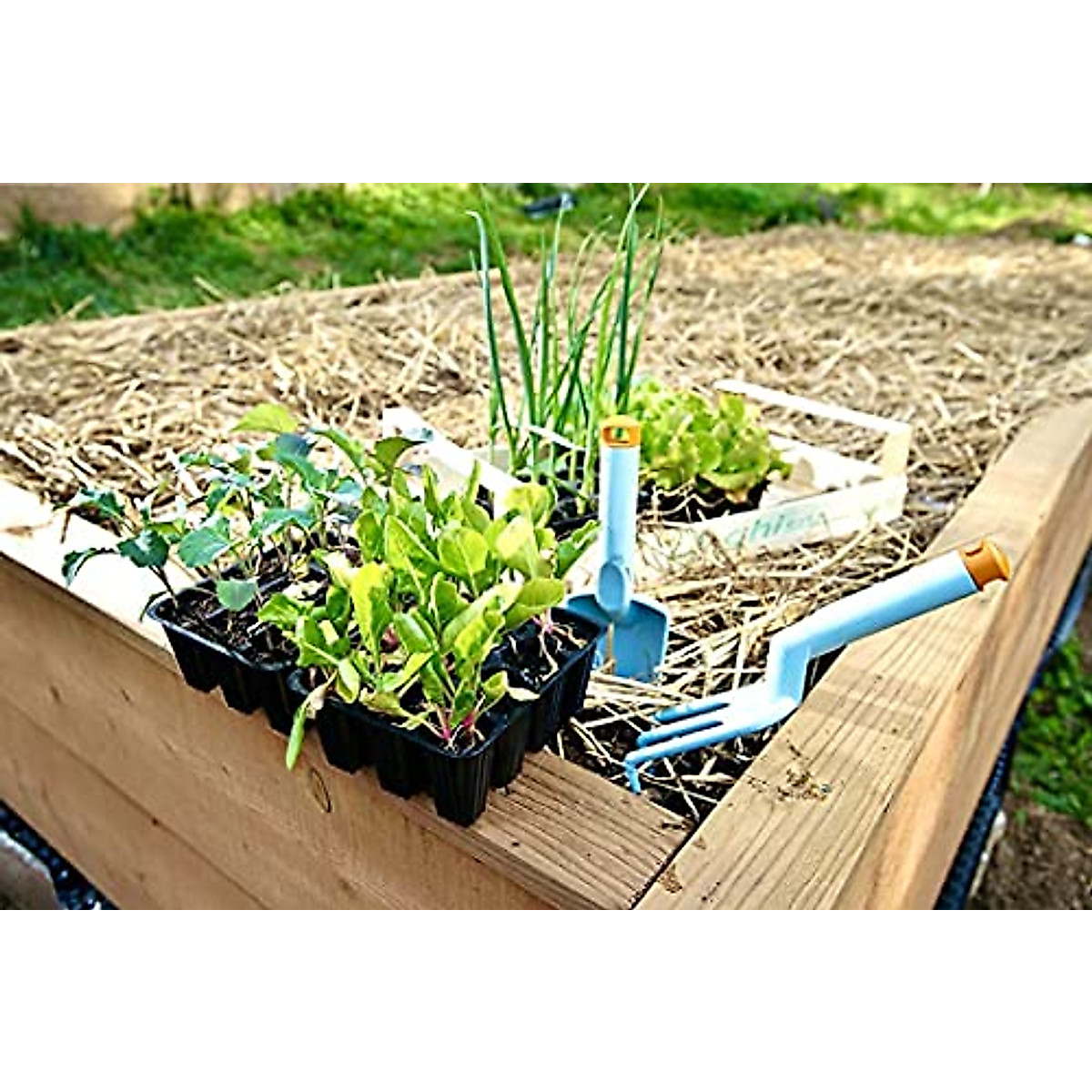 Organic Garden Straw (10lb) | Blue Mountain Hay | Straw Mulch for Raised Bed Gardens, Yard Landscaping, New Lawn Grass Seed Plantings, Tomato & Vegetable Compost & Fertilizer | Covers up to 150 sq ft