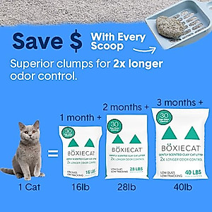 Boxie® Gently Scented 30 Day Natural Odor Control Cat Litter, 40lb Clumping Clay Kitty Litter