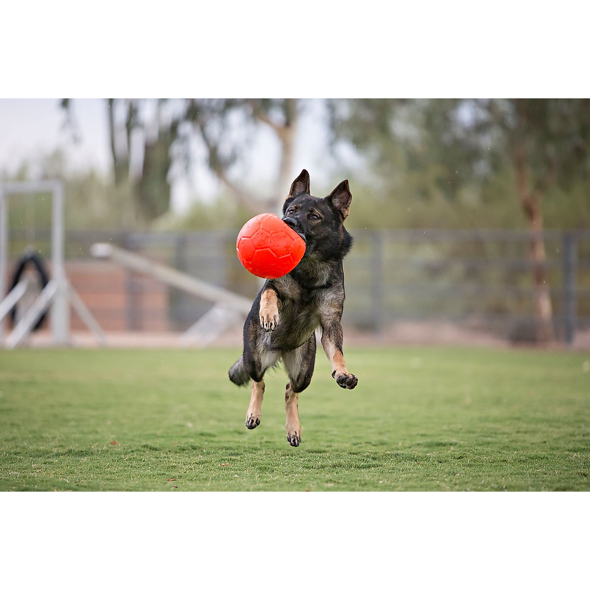 Jolly Pets 8" Soccer Ball, Orange, Large/X-Large