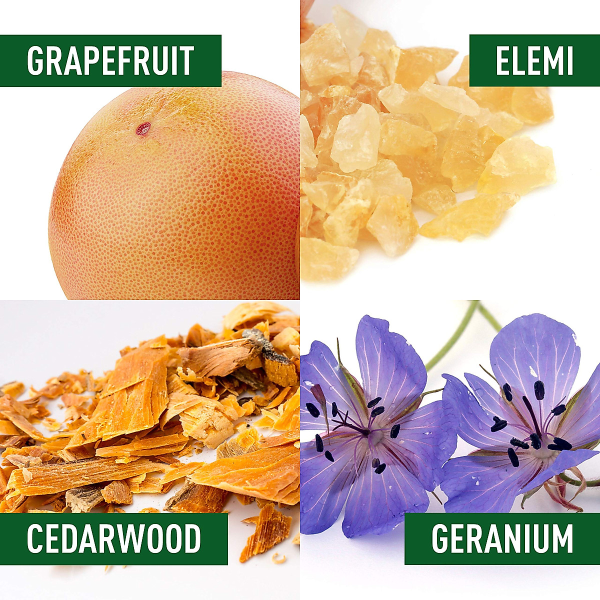 Adidas Sport, Charge, Mens Fragrance 3.3 ounce Eau De Toilette, 1 Count