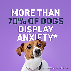 Veterinary Formula Smart Vitality Pet Calm Supplement for Dogs - Soft Chews, 30ct - Promotes a Sense of Relaxation During Moments That May Cause Stress - Fireworks, Travel, Changes in Routine