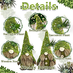 Mailin 2Pcs Succulent Gnomes Plush Green Gnomes Decorations for Home Tiered Tray Decor Farmhouse Decor Tomte Scandinavian Gnomes Dolls Gift for Plant Lover