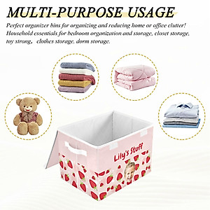 Sinestour Custom Storage Bins with Lid Personalized Storage Basket Box Shelf Basket Closet Organizer for Home Toy Playroom (Strawberry)