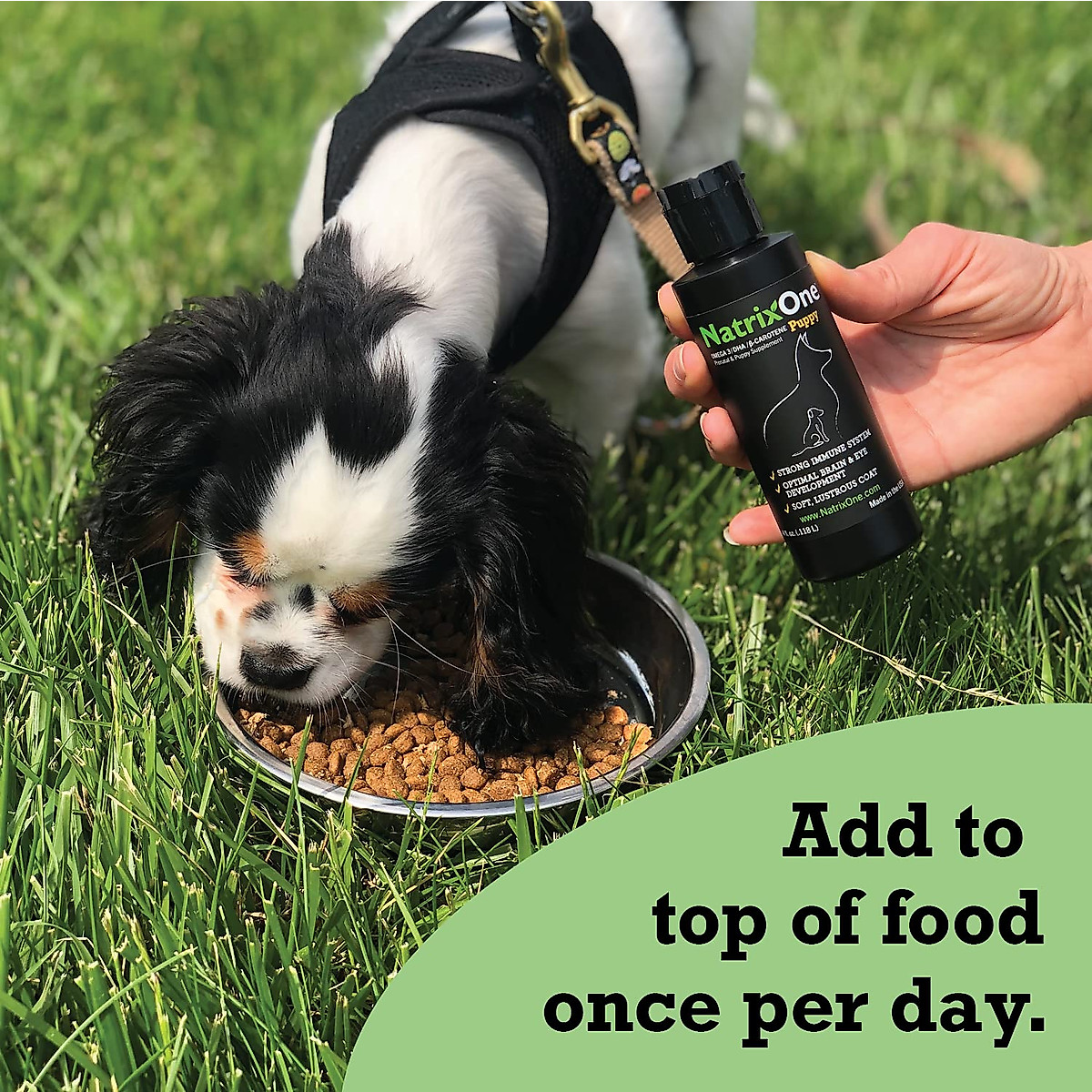 Puppy Vitamins and Supplements by Natrixone All-Natural Supplement for Puppies, Omega 3 6 9 Plus Immune System and Cognitive Development Booster, 8 Oz