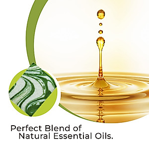 Dollylocks Organic Shampoo Bar for Dreadlocks, Vegan Shampoo with Coconut Oil, Essential Oils, Sea Salt, Plant-Based Shampoo Bars for Hair, Residue Free and Cruelty Free - (4.5oz) Tea Tree Spearmint