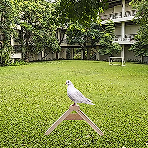 POPETPOP Parrot Toys 2Pcs Dove Rest Stand Bird Perches for Dove Pigeon and Other Birds Plastic Pigeon Perches Roost Bird Dwelling Stand Support Cage Accessories Bird Toys