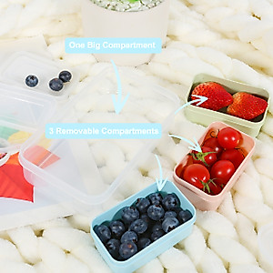 Maizsur 4 Compartment Bento Lunch Box for Kids,Food Storage Containers with Lids,Portion control containers,Salad Dressing and Condiment Containers,Microwave, Dishwasher, and Freezer Safe