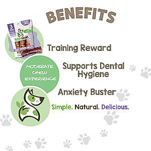 Nature Gnaws Beef Trachea Crunch Wraps for Dogs (3 Count) - Long Lasting Natural Beef Jerky Dog Chew Bones - Rawhide Free