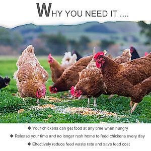 PawHut 30 lbs Capacity Automatic Chicken Poultry Feeder with a Galvanized Steel and Aluminium Build, Weatherproof Design